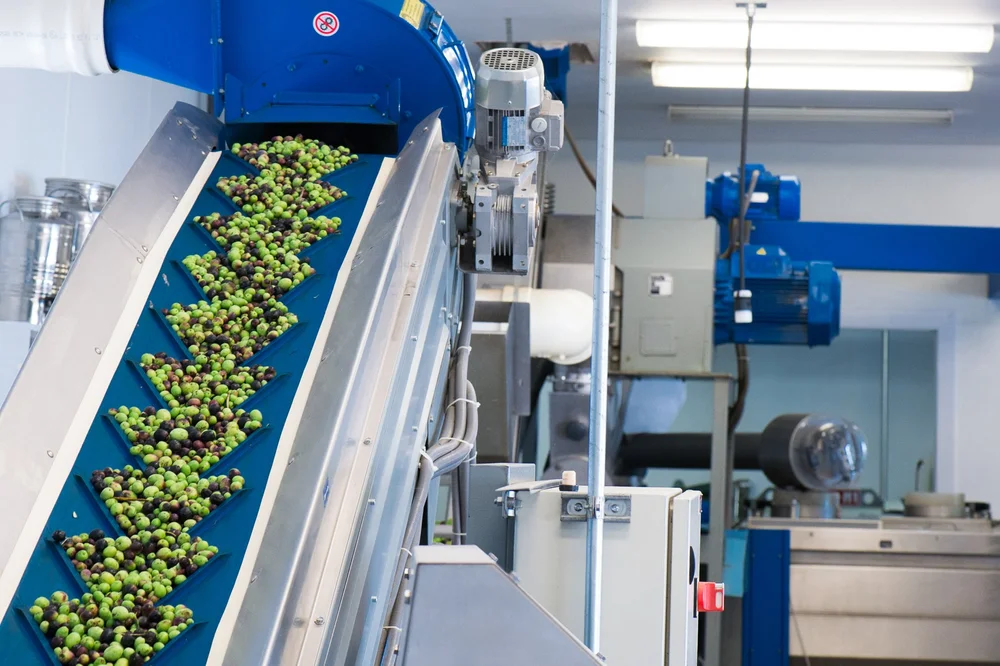 The Olive Oil Source