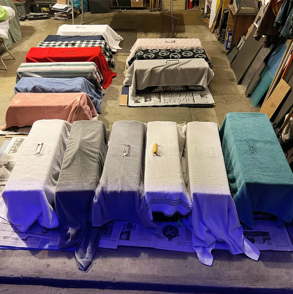 Trap-Neuter-Vaccinate-Return — Beltsville Community Cats