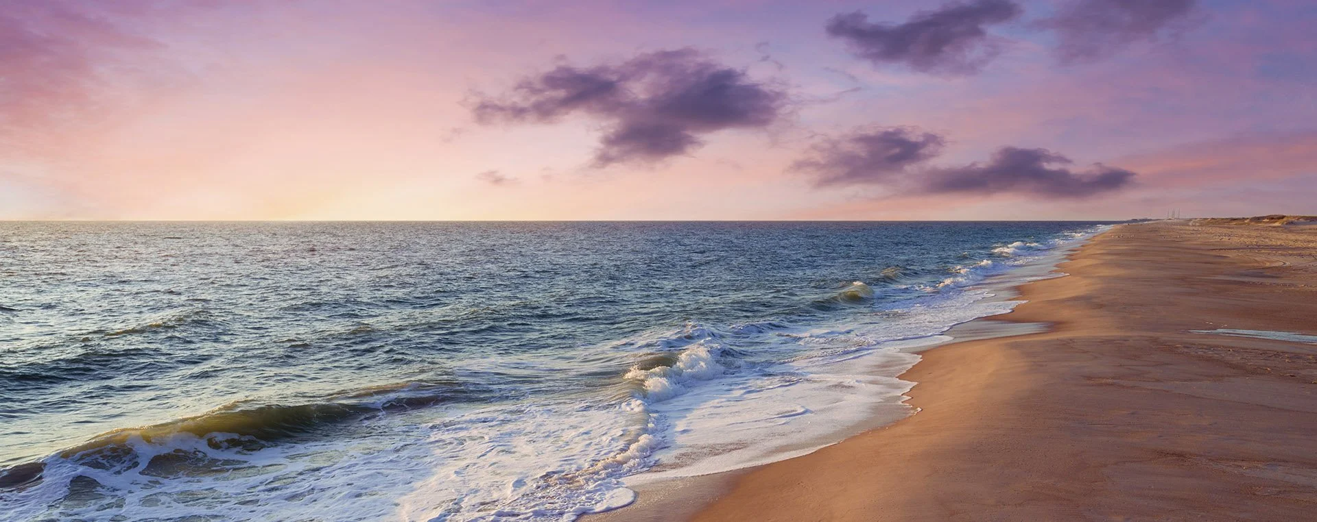 WWPF Heart Screening Registration — Who We Play For