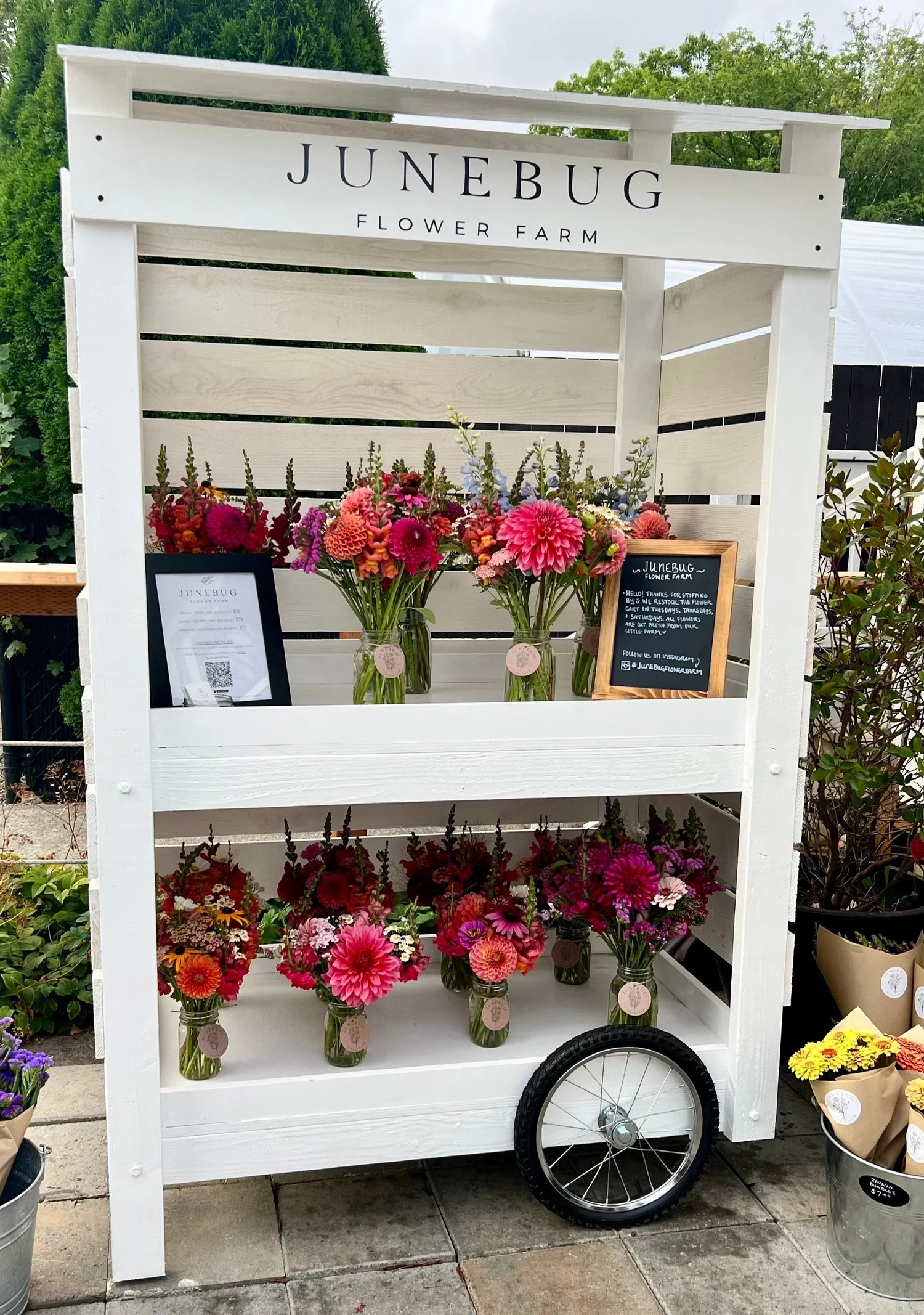 VISIT US — JUNEBUG FLOWER FARM