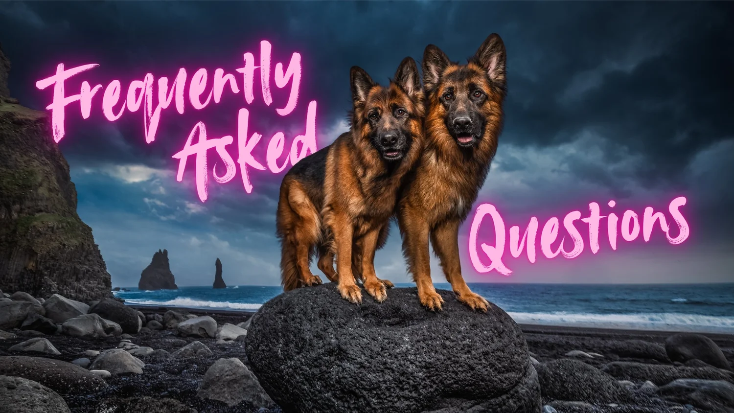 Dog Breath Photography - FAQ