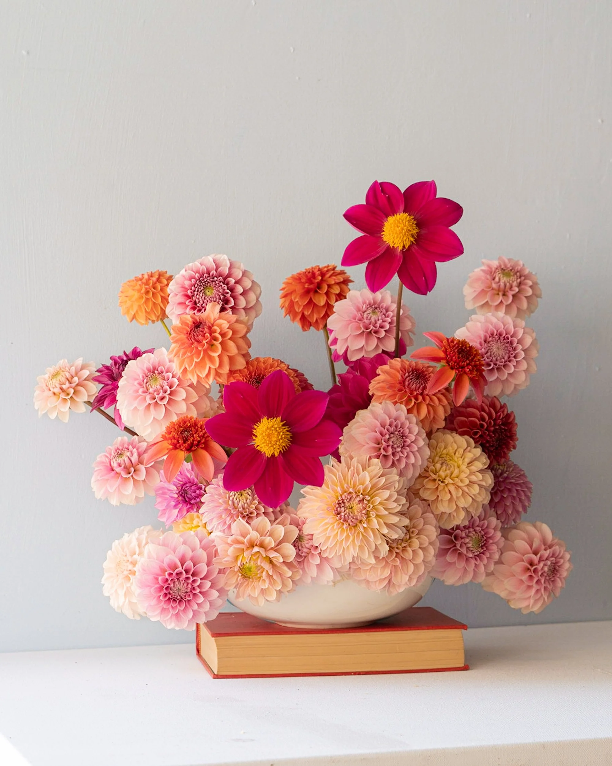 Seedling Arrangements — Levi's Dahlias