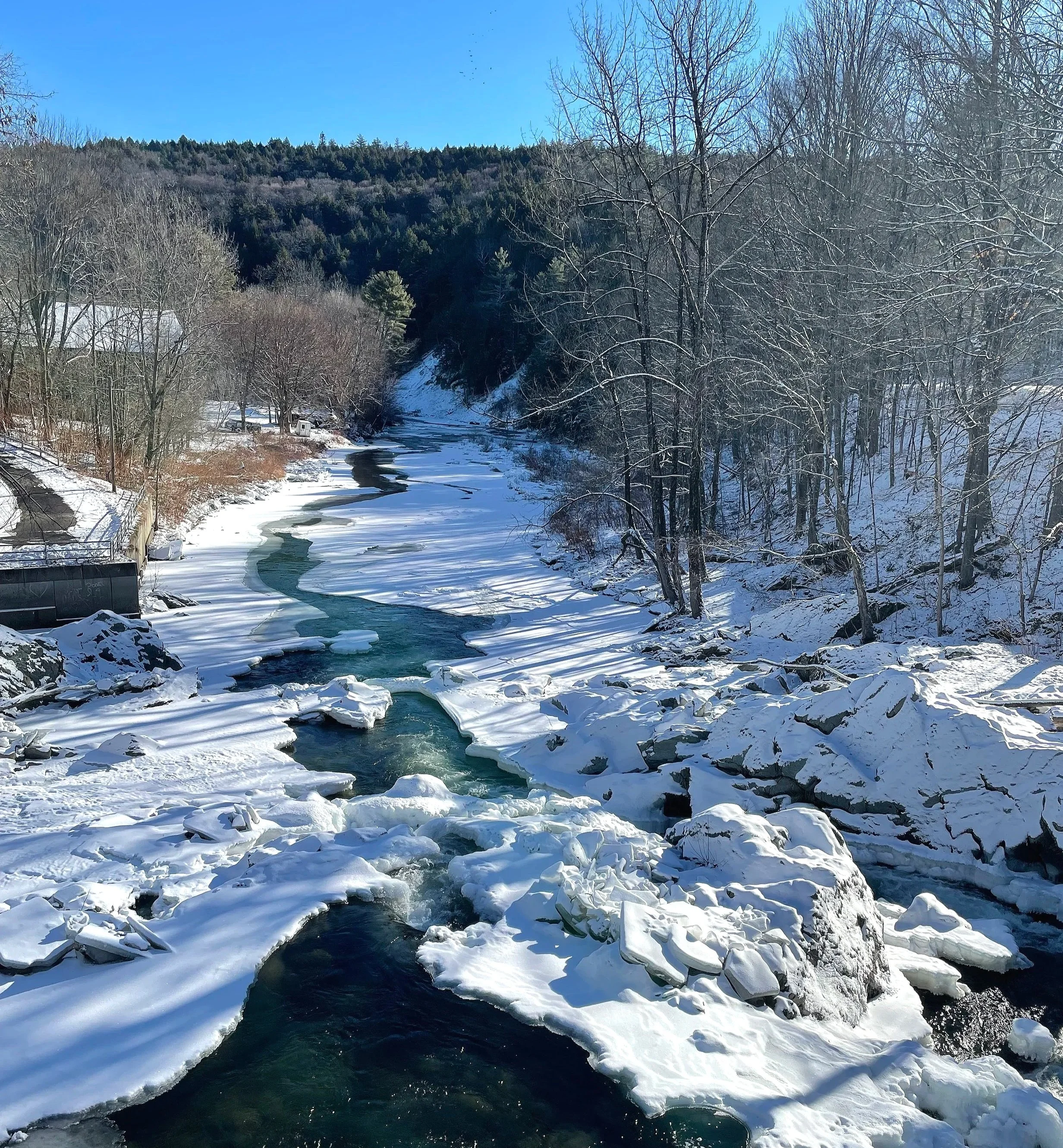 Commencement — Dr. Miriam Wolf