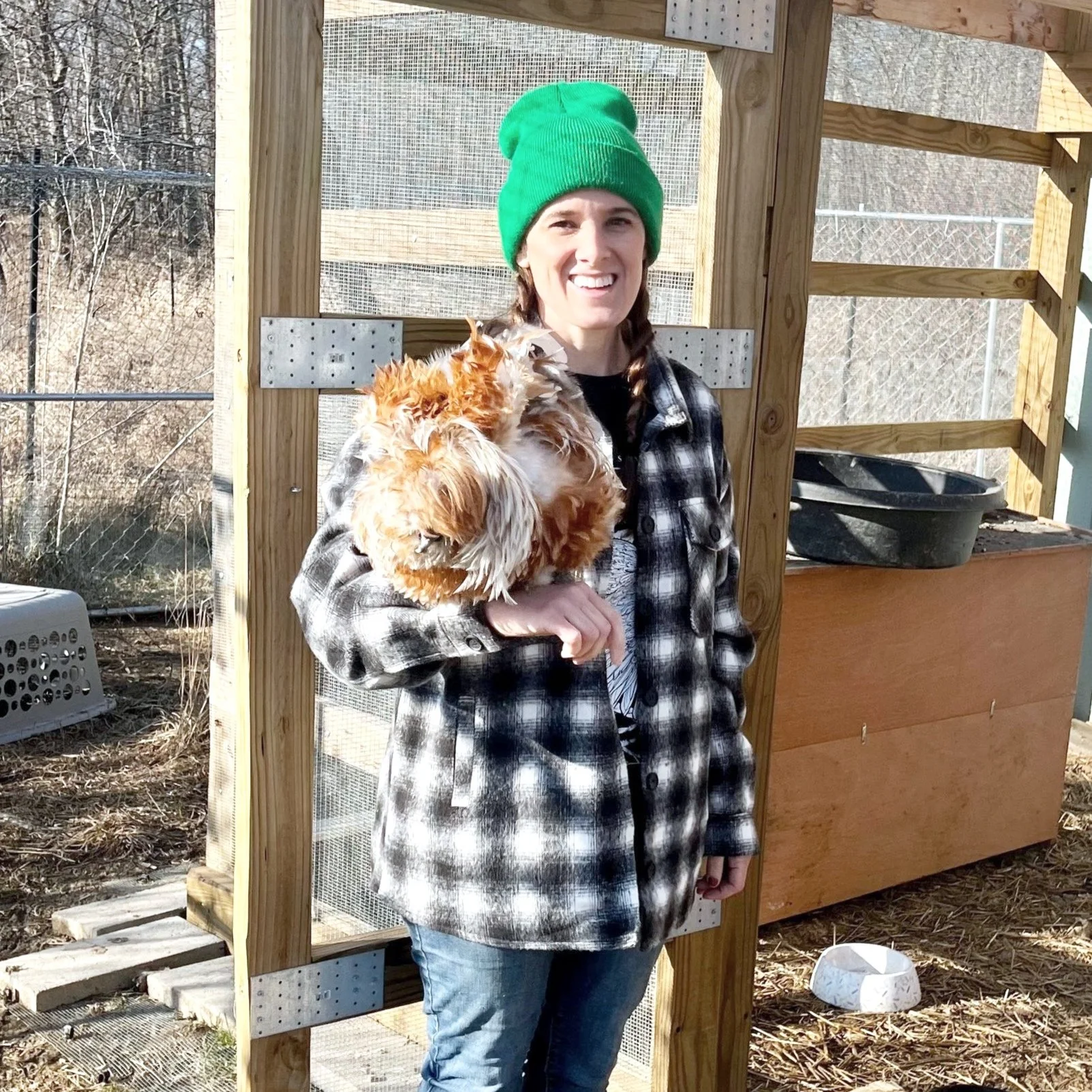 Meet Our Dedicated Team & Volunteers | Ahimsa Safe Haven Animal Rescue ...