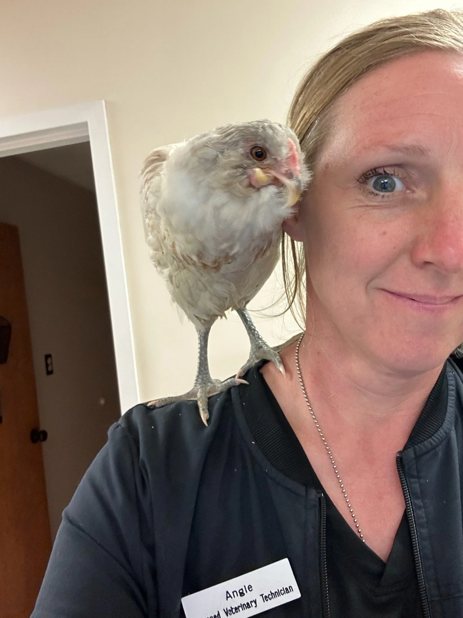 Meet Our Dedicated Team & Volunteers | Ahimsa Safe Haven Animal Rescue ...