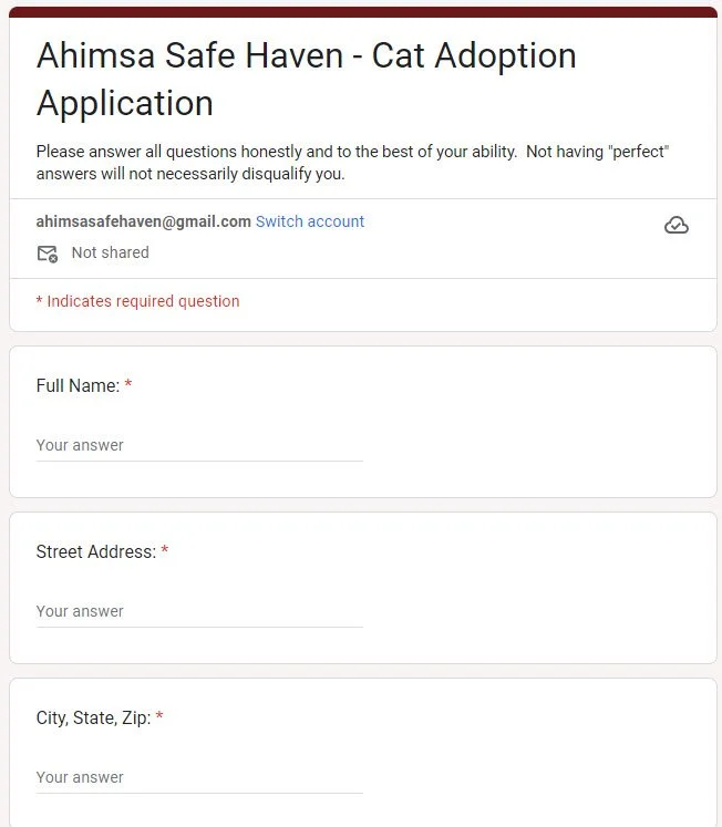 Cat Adoption Process | How To Adopt A Cat Near Southeast, MI — Ahimsa ...