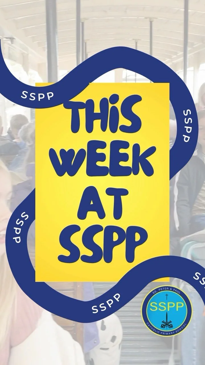 Results and Performance — SSPP.SCHOOL