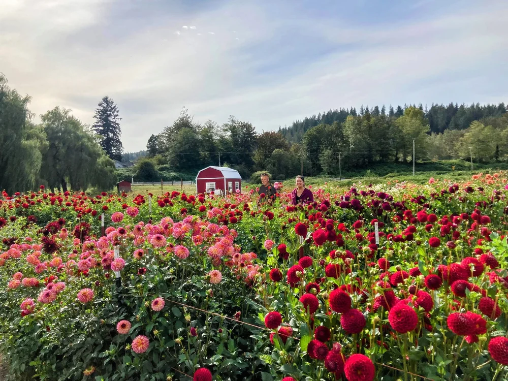 Valley View Farm Stand