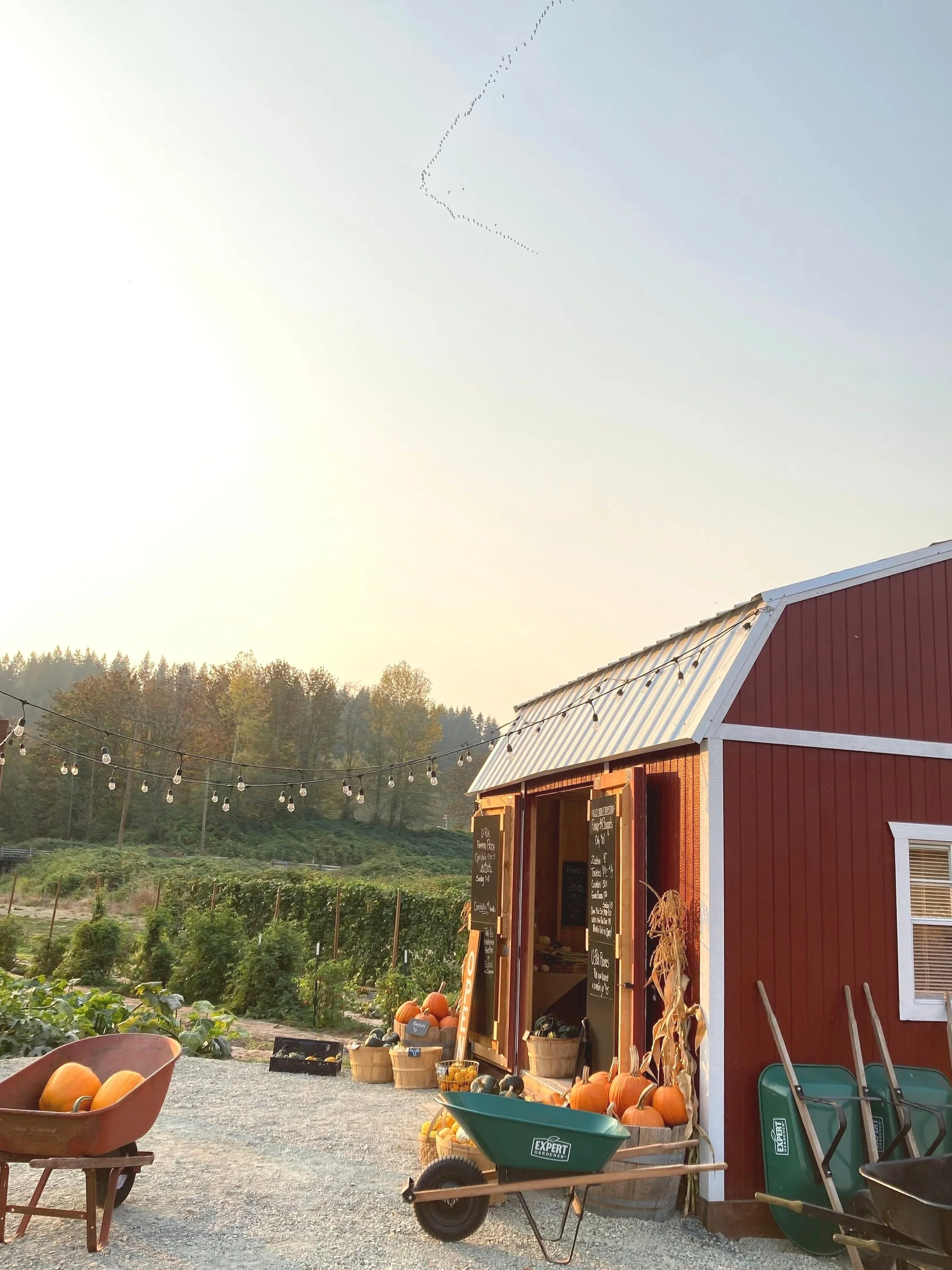Valley View Farm Stand