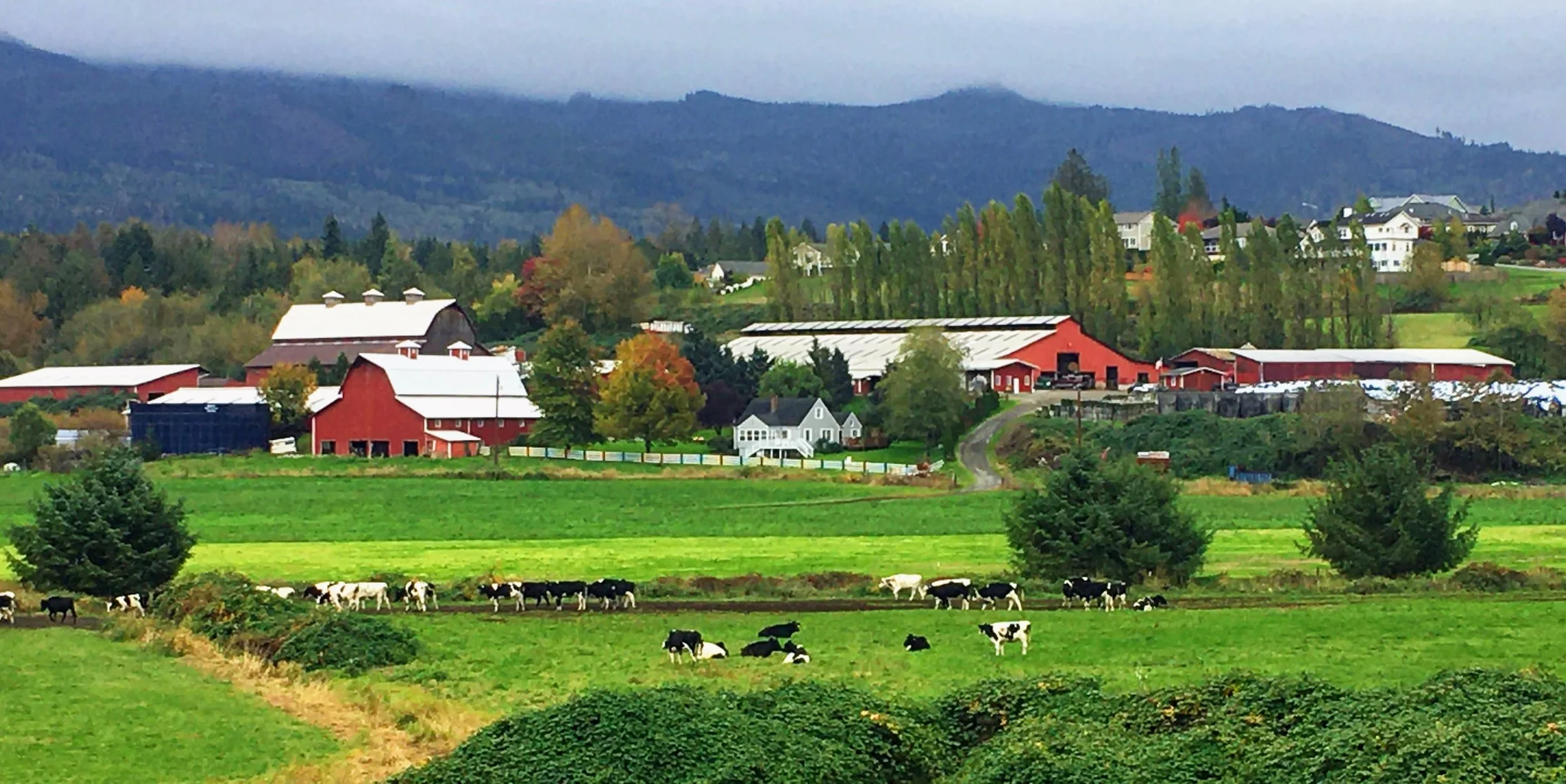 Valley View Farm Stand