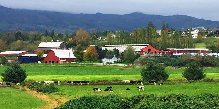 Valley View Farm Stand