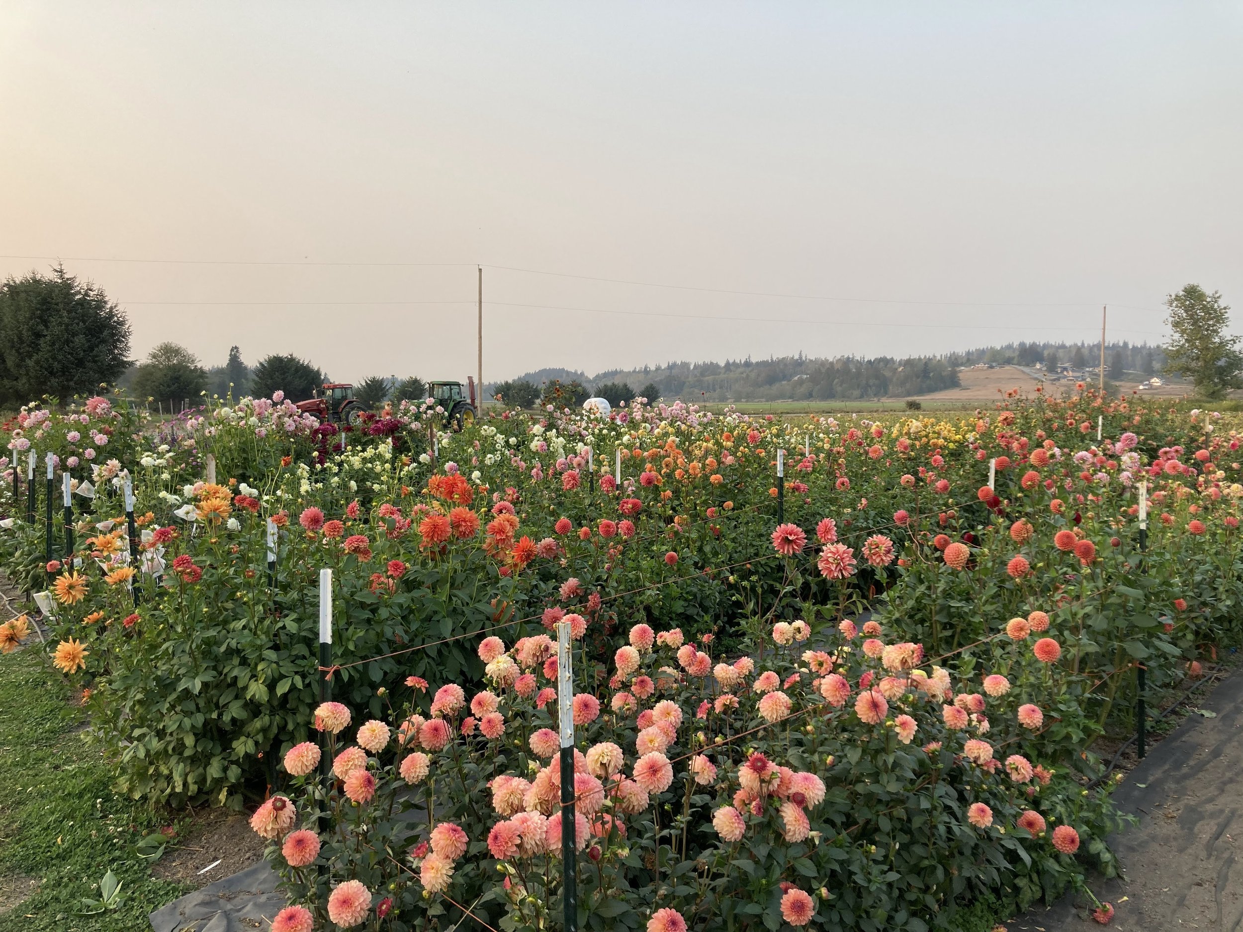 Valley View Farm Stand