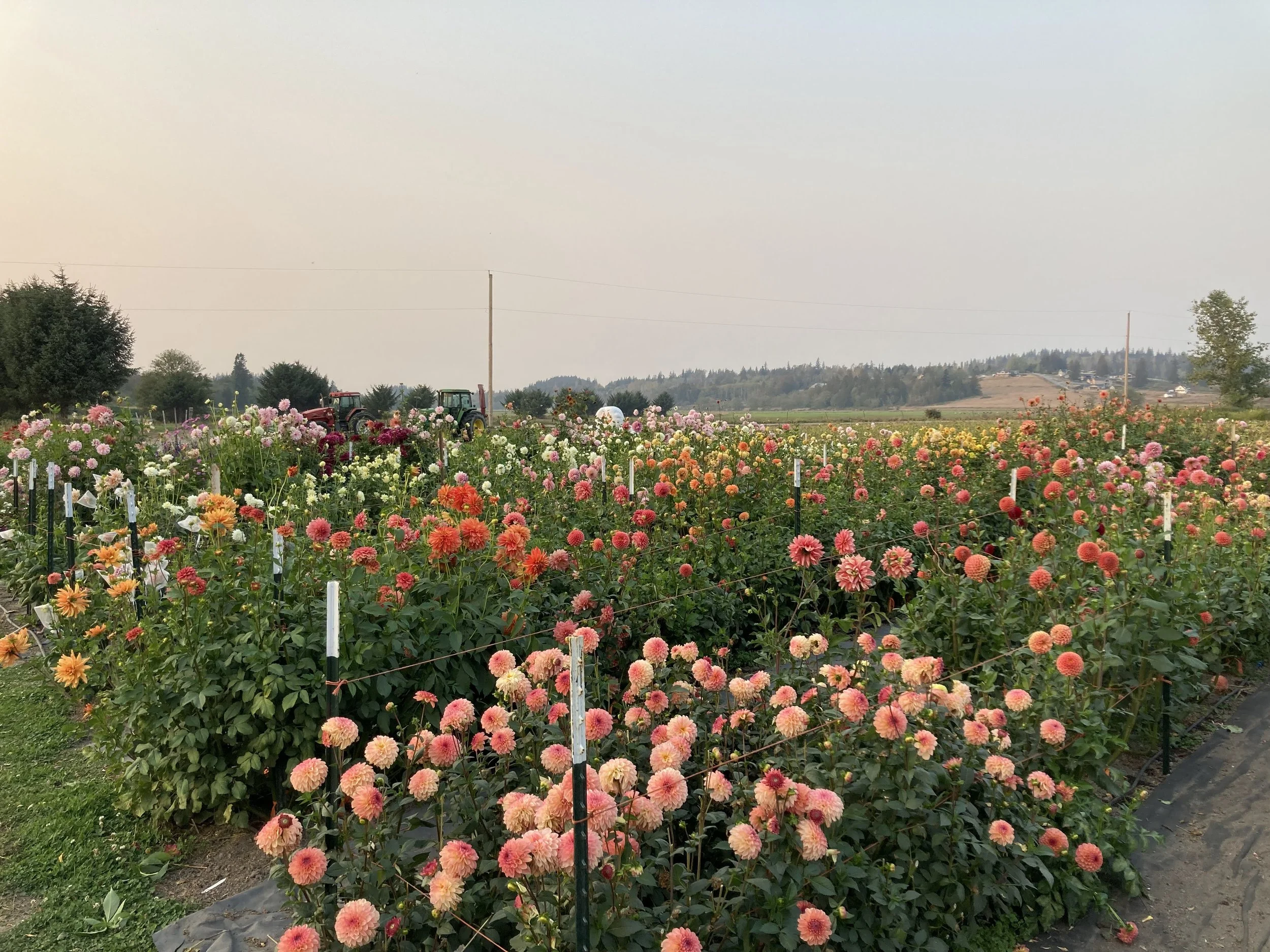 Valley View Farm Stand