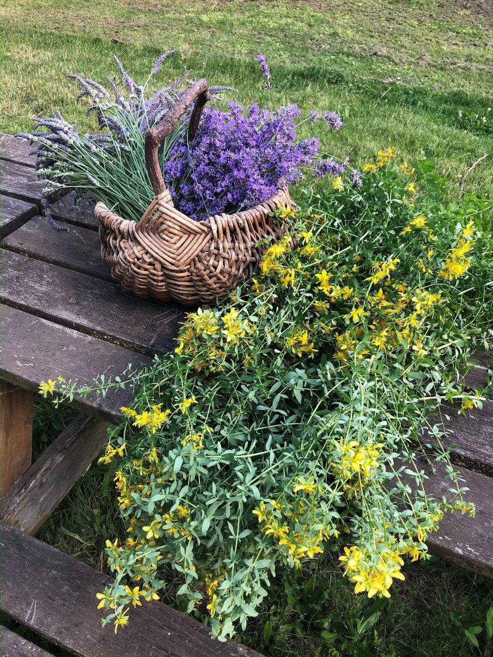 Members — Two Rivers Farm