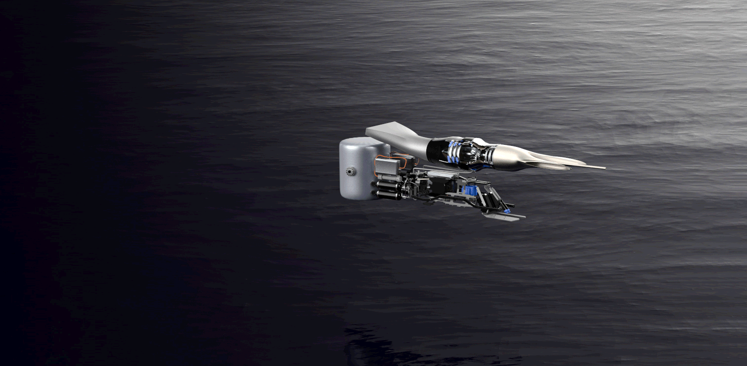 ROLLS-ROYCE BLACK SWAN FINAL — JAN-FREDERIK NIEHUES | Mobility Designer