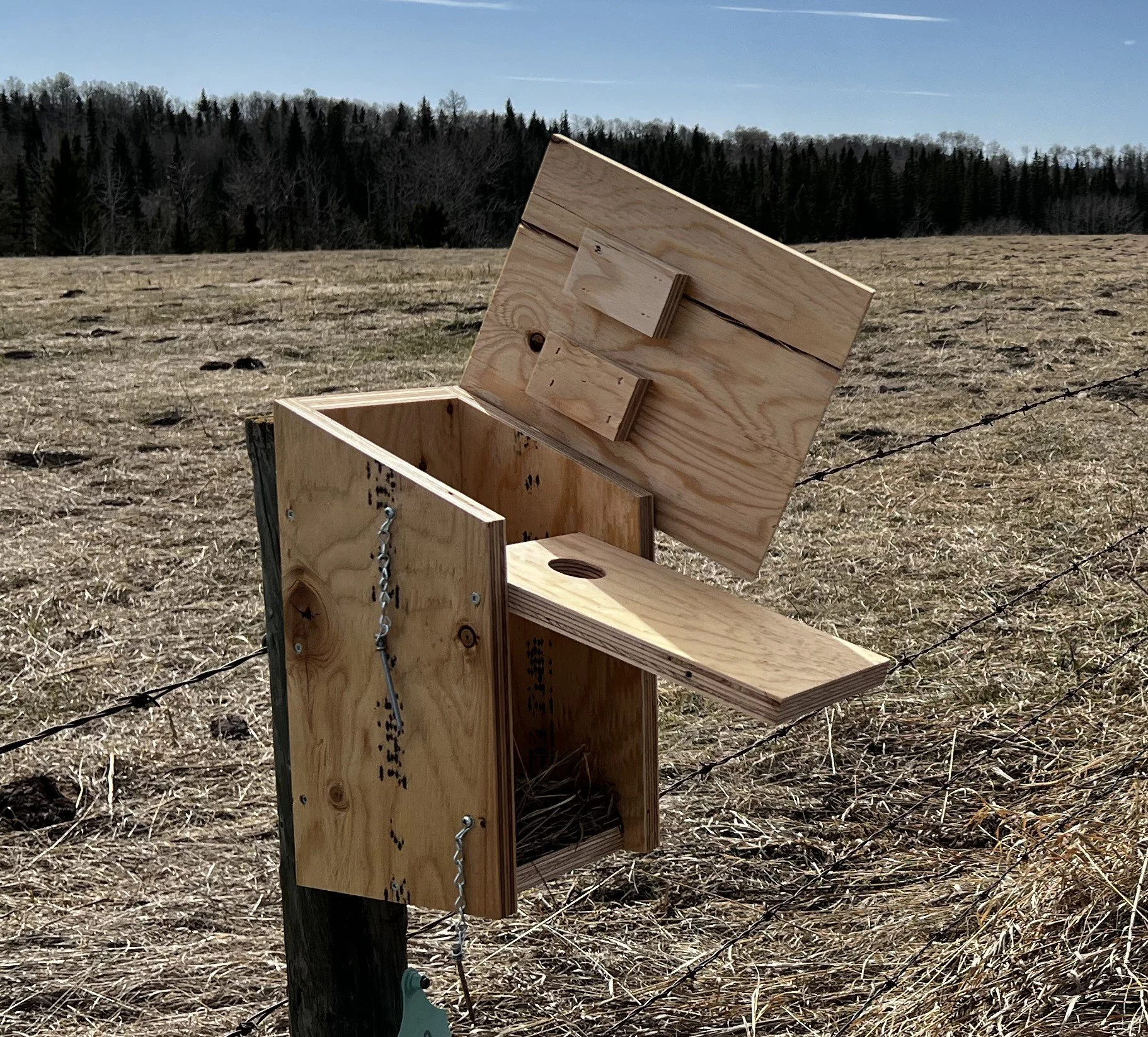Build A Nest Box - CANMS — CANMS