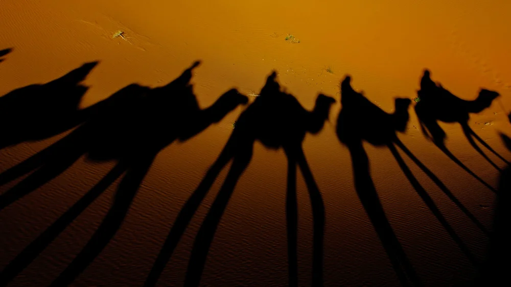 Conquering the Midweek Slump: Tips to Power Through Hump Day — Haven ...