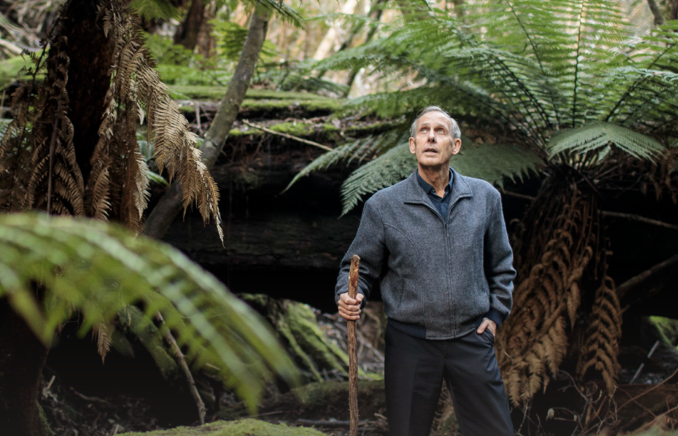 Small Giants Academy: A centre for wisdom & action