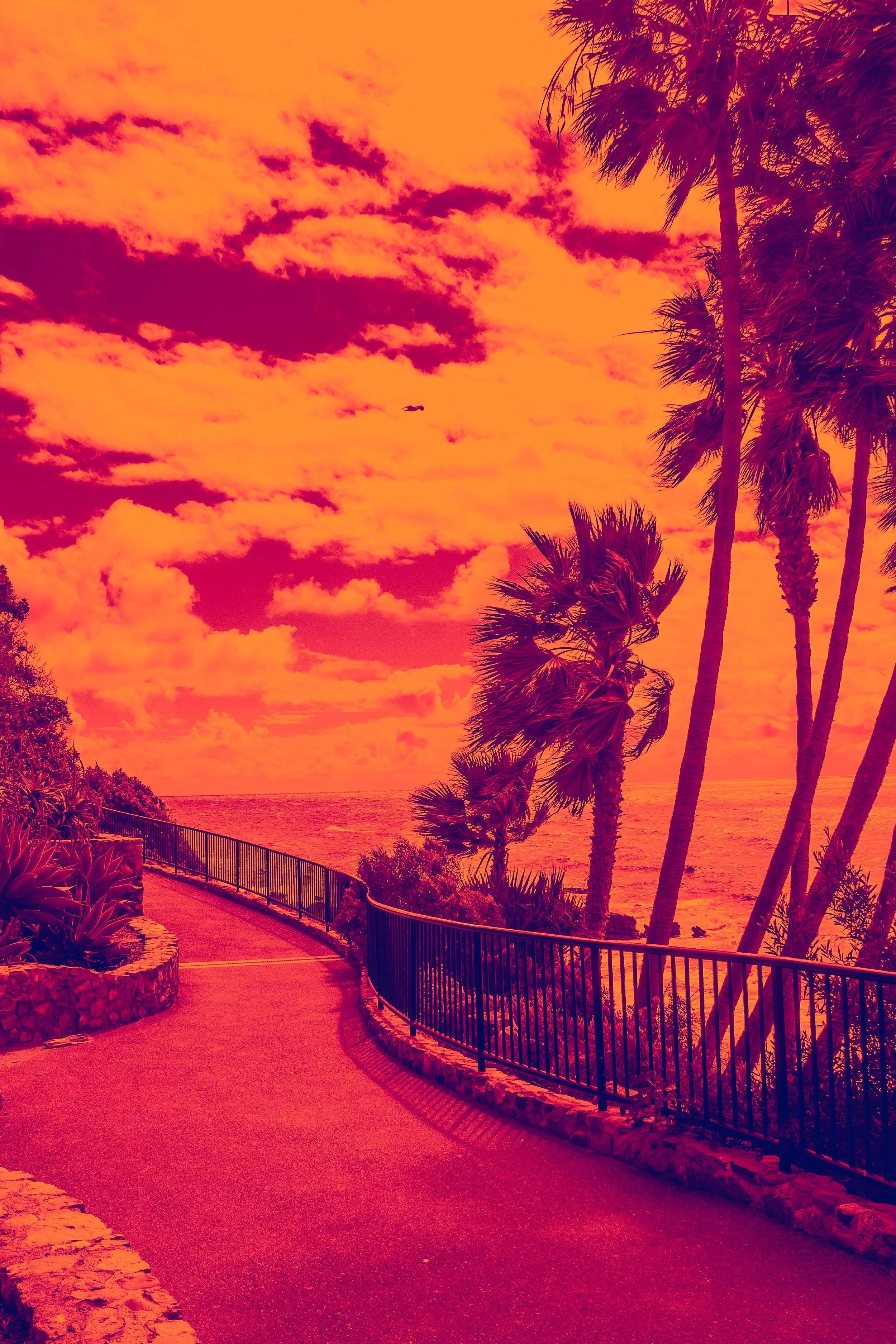 Outrageous Orange — Diane M. Lamboley, contemporary photographer