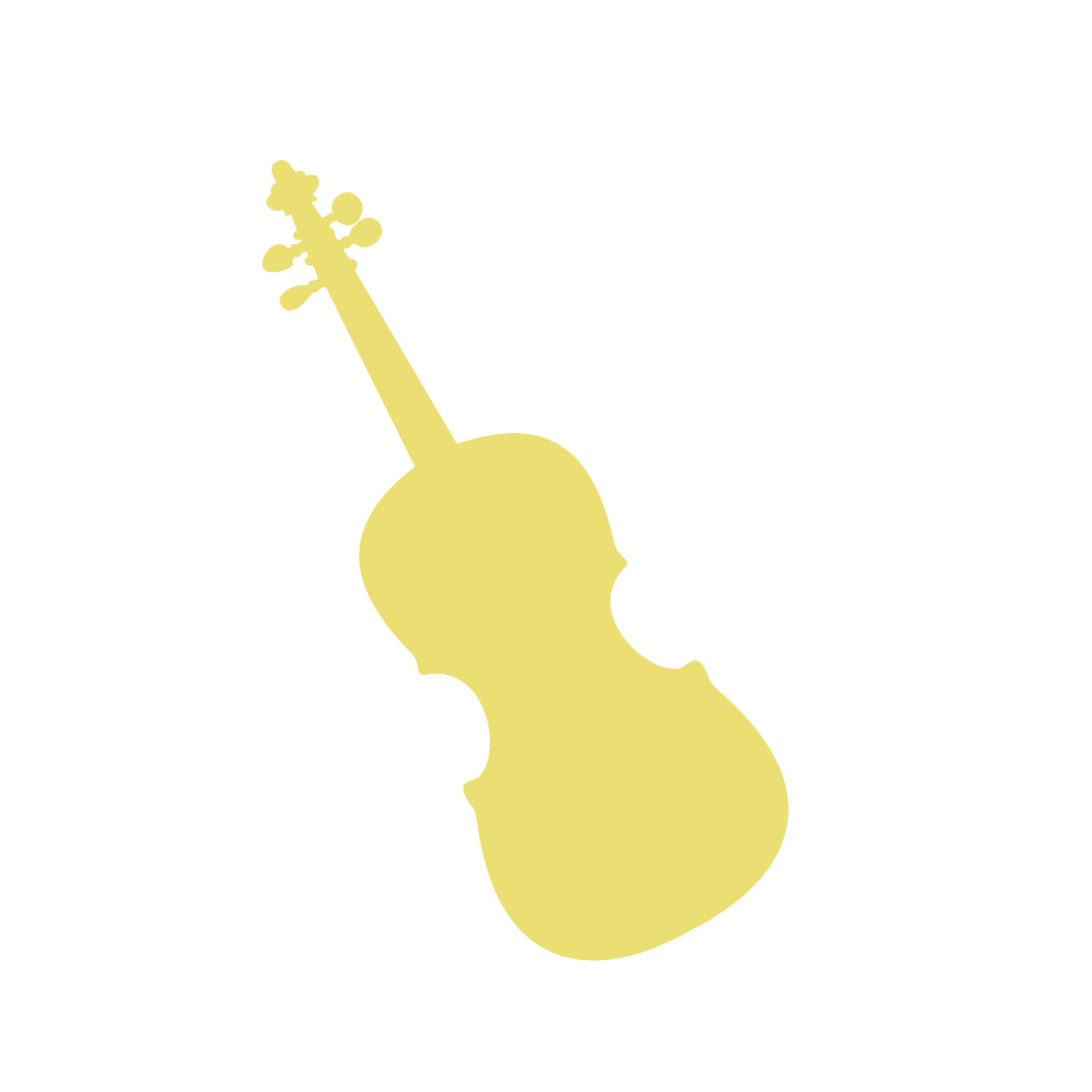 Snake River Strings Co