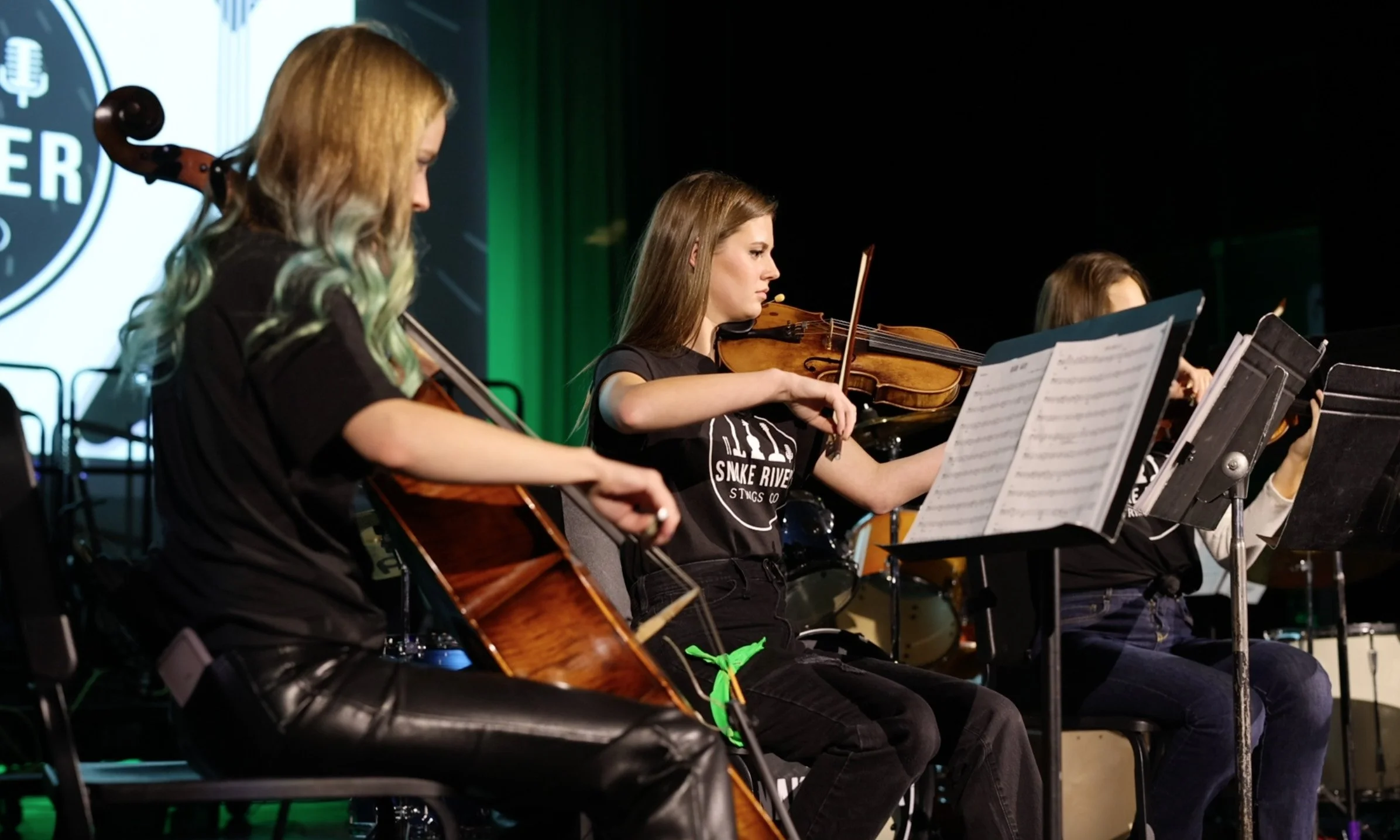 Viola Lessons in Idaho Falls, Blackfoot, Pocatello — Snake River Strings Co