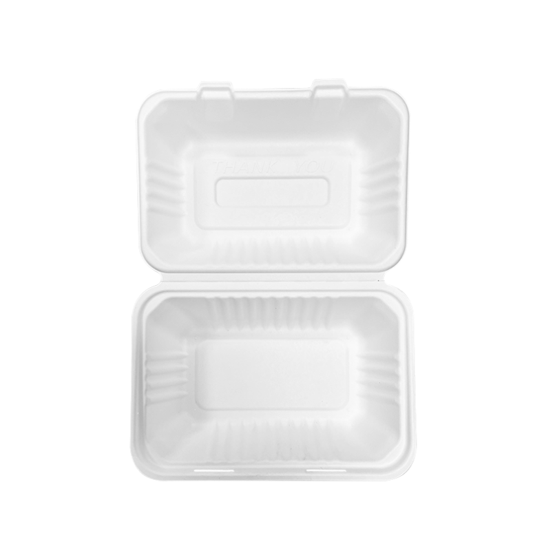 Biodegradable regular bagasse clamshell — VIVCO