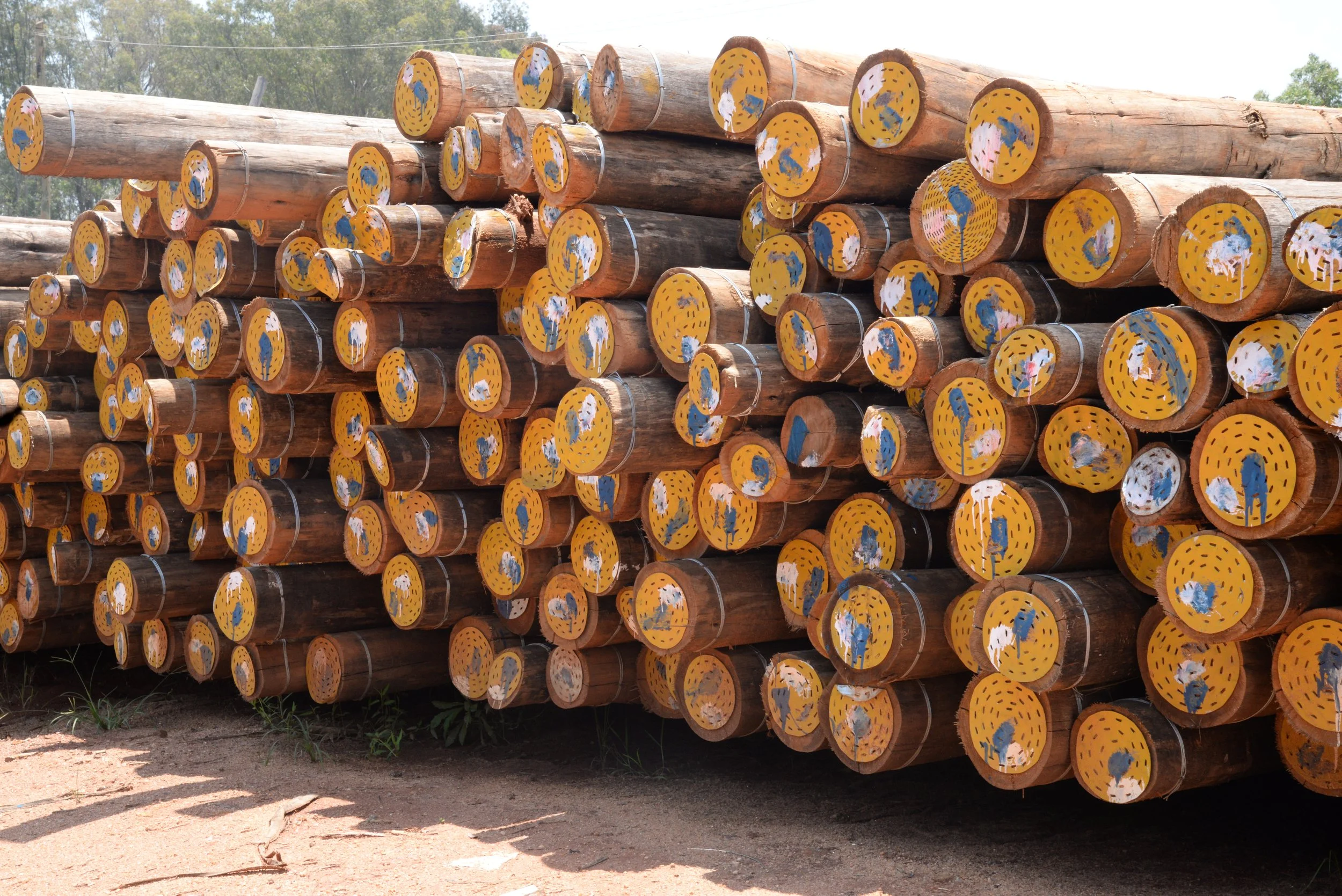 Wooden Poles— Ultimate Forests Company Limited
