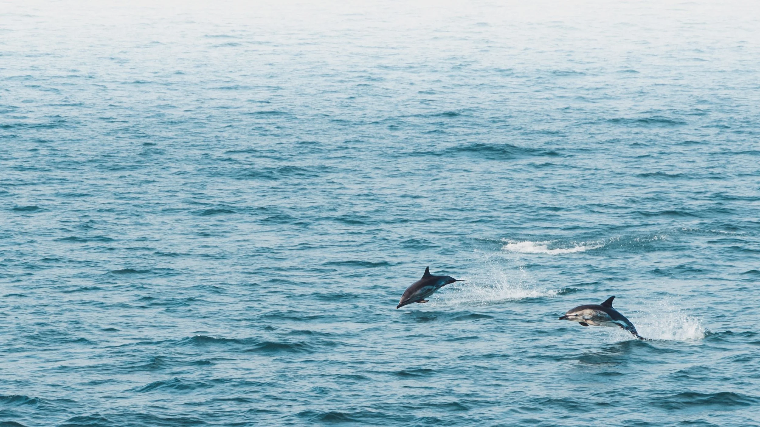 How to get to Tiree? How to plan a holiday on Tiree — Tiree Wave Classic