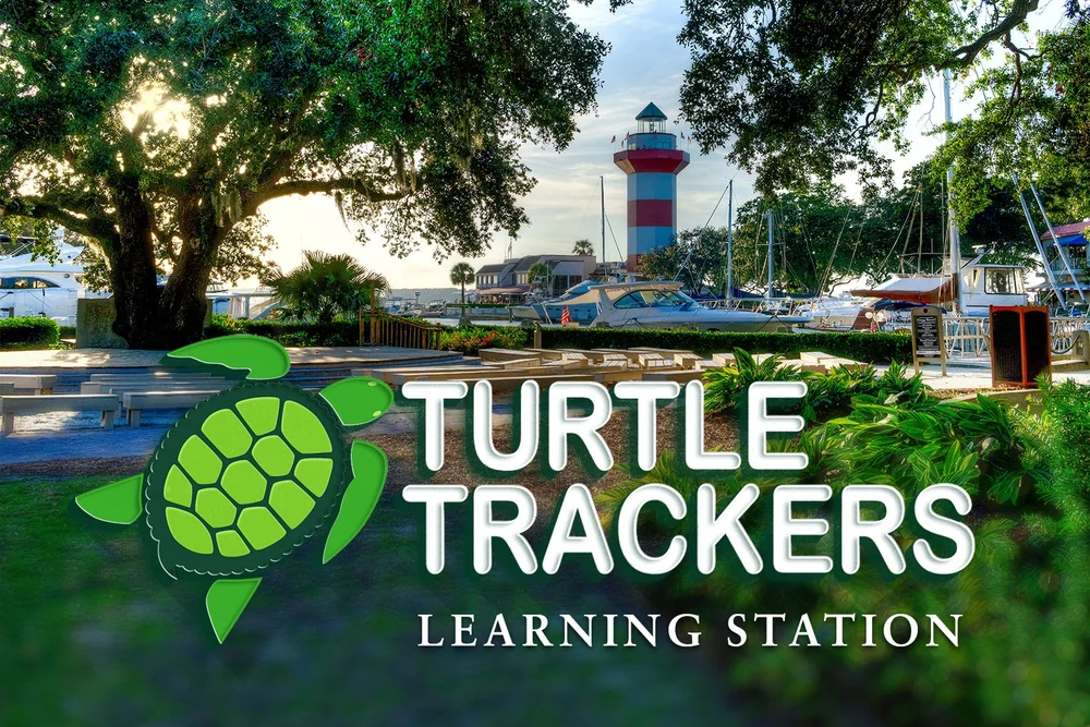 Events Calendar | Join Our Events — Turtle Trackers