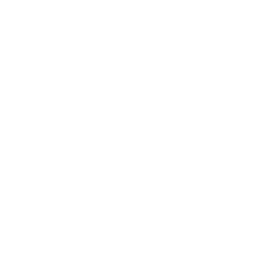 Avictus | Tim Marner® Branding Agency Bolton ⭐⭐⭐⭐⭐
