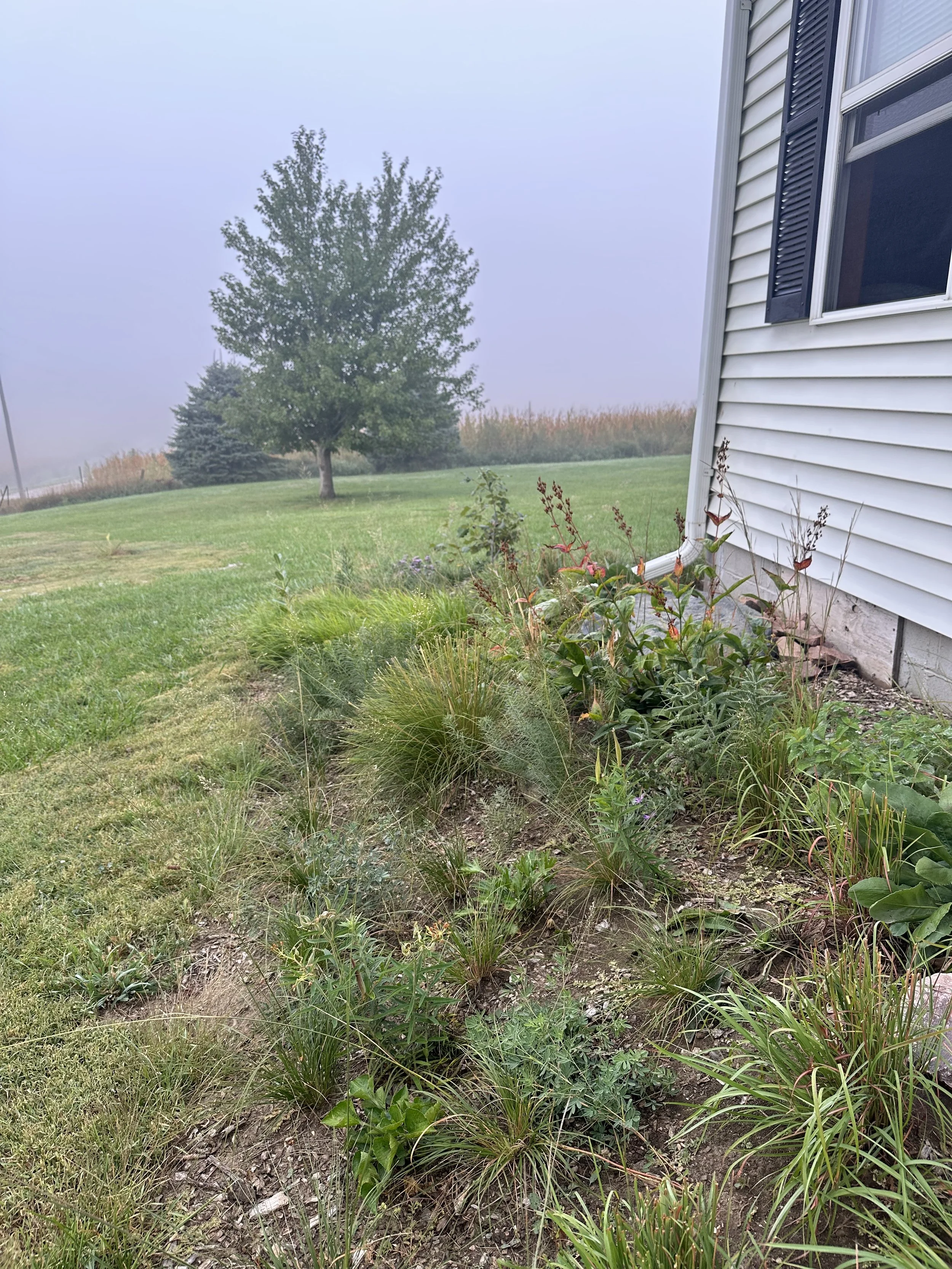 Gallery — Compass Ecological