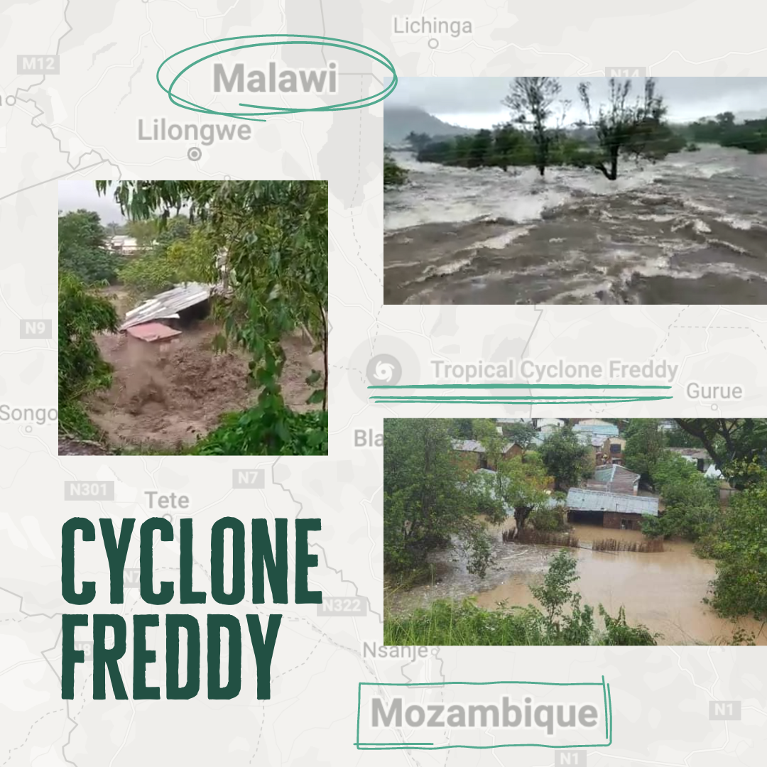 Emergency: Cyclone Freddy — Links International