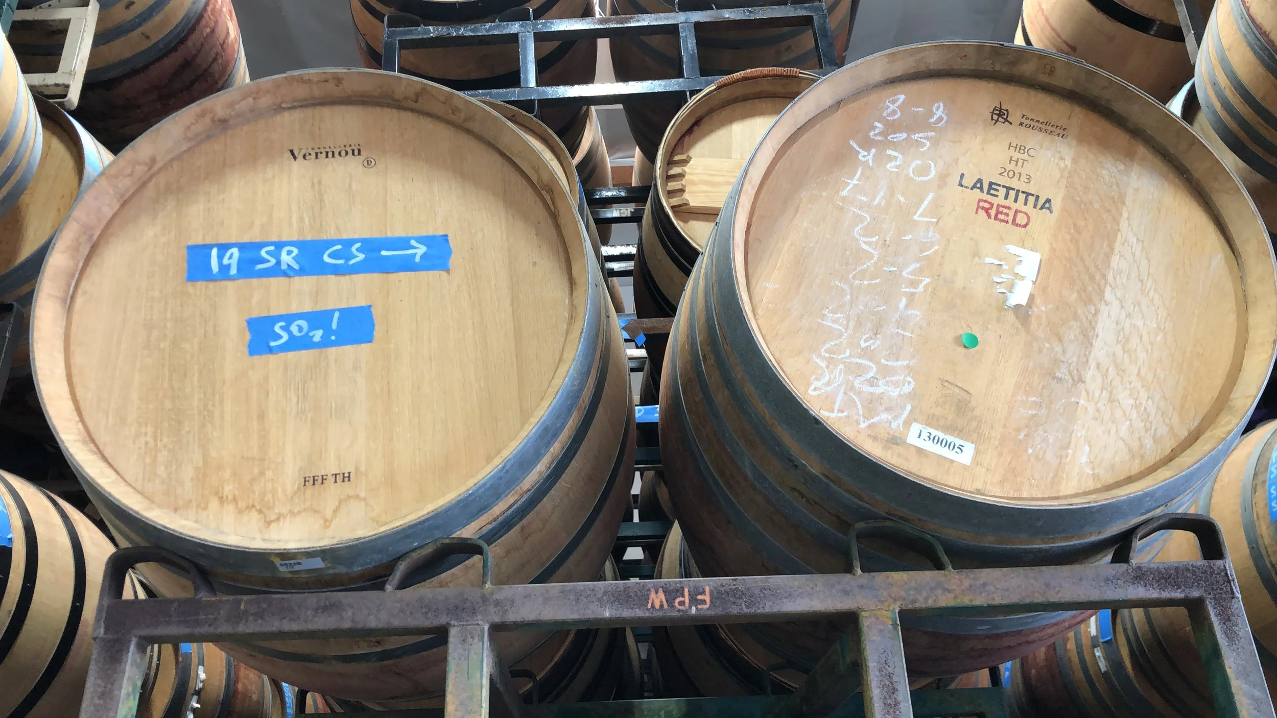 Our Story - the Shirah Wine Saga — Shirah Wine Co.