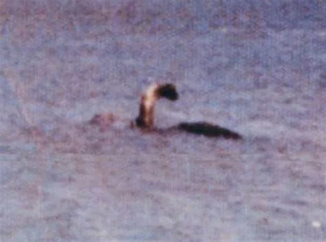 Cryptids of North America #1: New York — Preston Posits