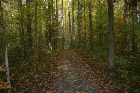 Cryptids of North America #9: Delaware — Preston Posits