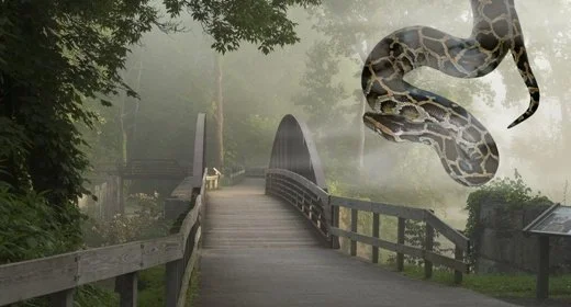 Cryptids of North America #12: Ohio — Preston Posits
