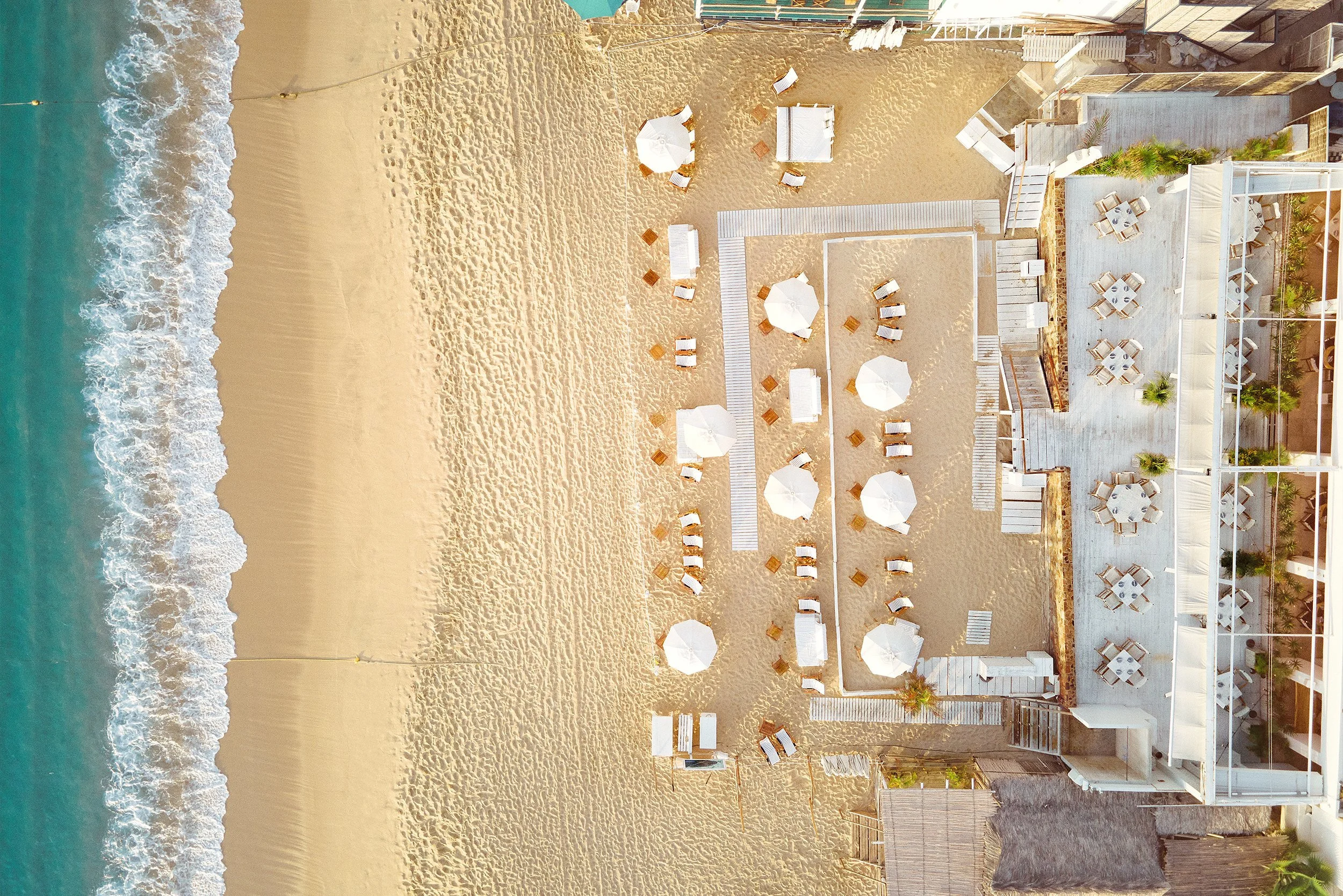 Baja Beach Club Experience | SUR Beach House at Medano Beach — Bahia ...