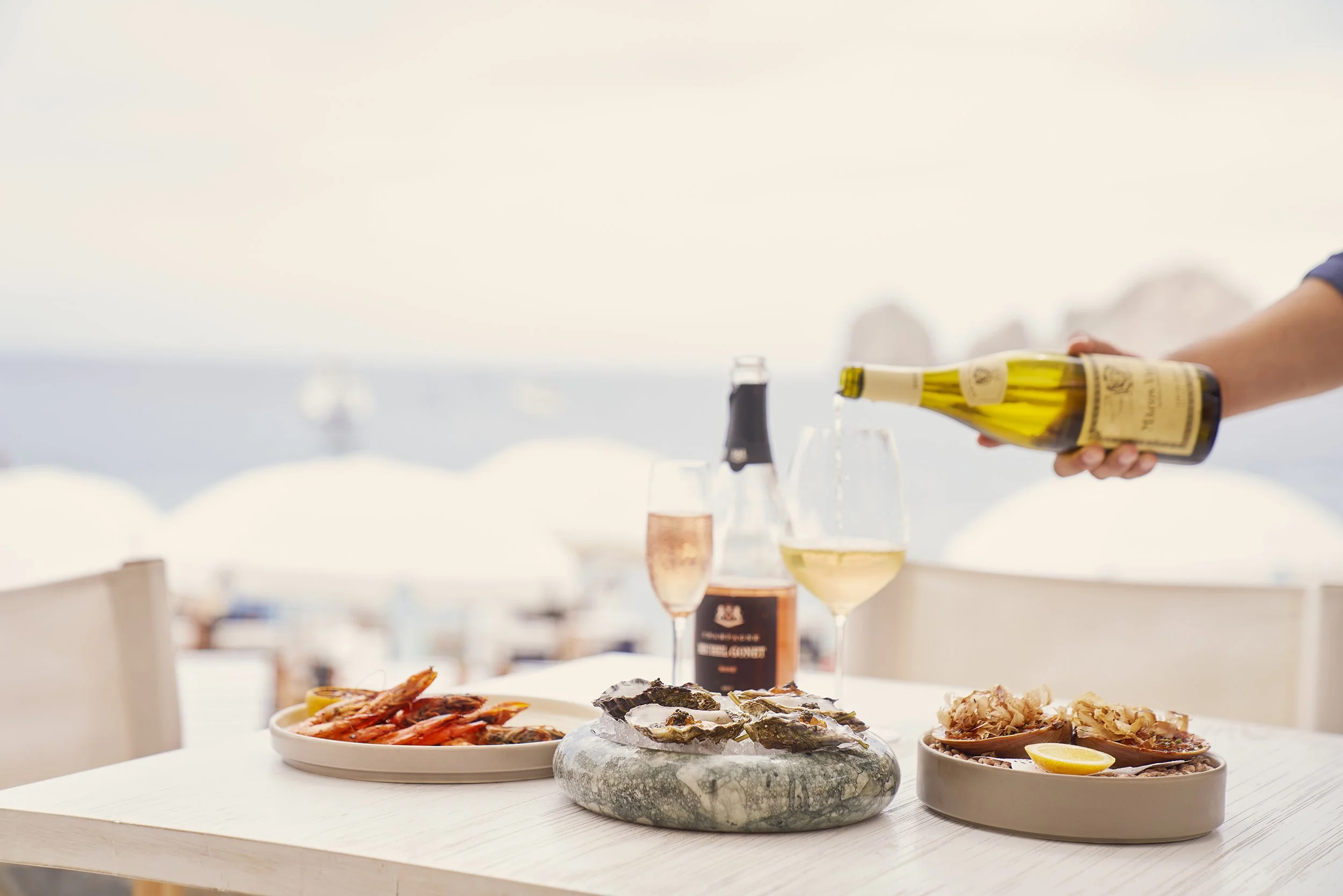 Baja Beach Club Experience | SUR Beach House at Medano Beach — Bahia ...