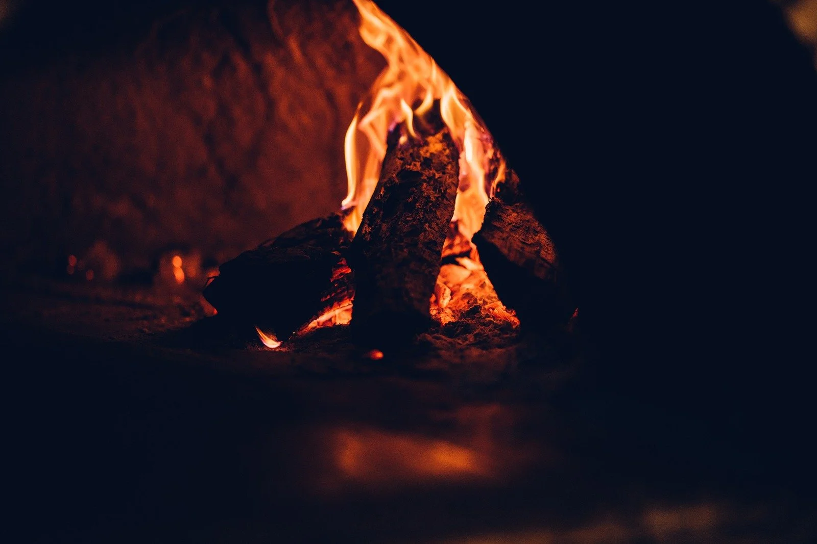 Explore Bahia Cabo's Culinary Delights | Menus from Bar Esquina & SUR ...
