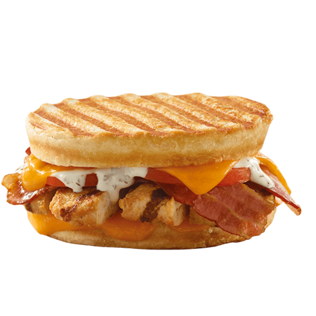 Texas Hot Pressed Panini Hero — HANOVER GOURMET DELI