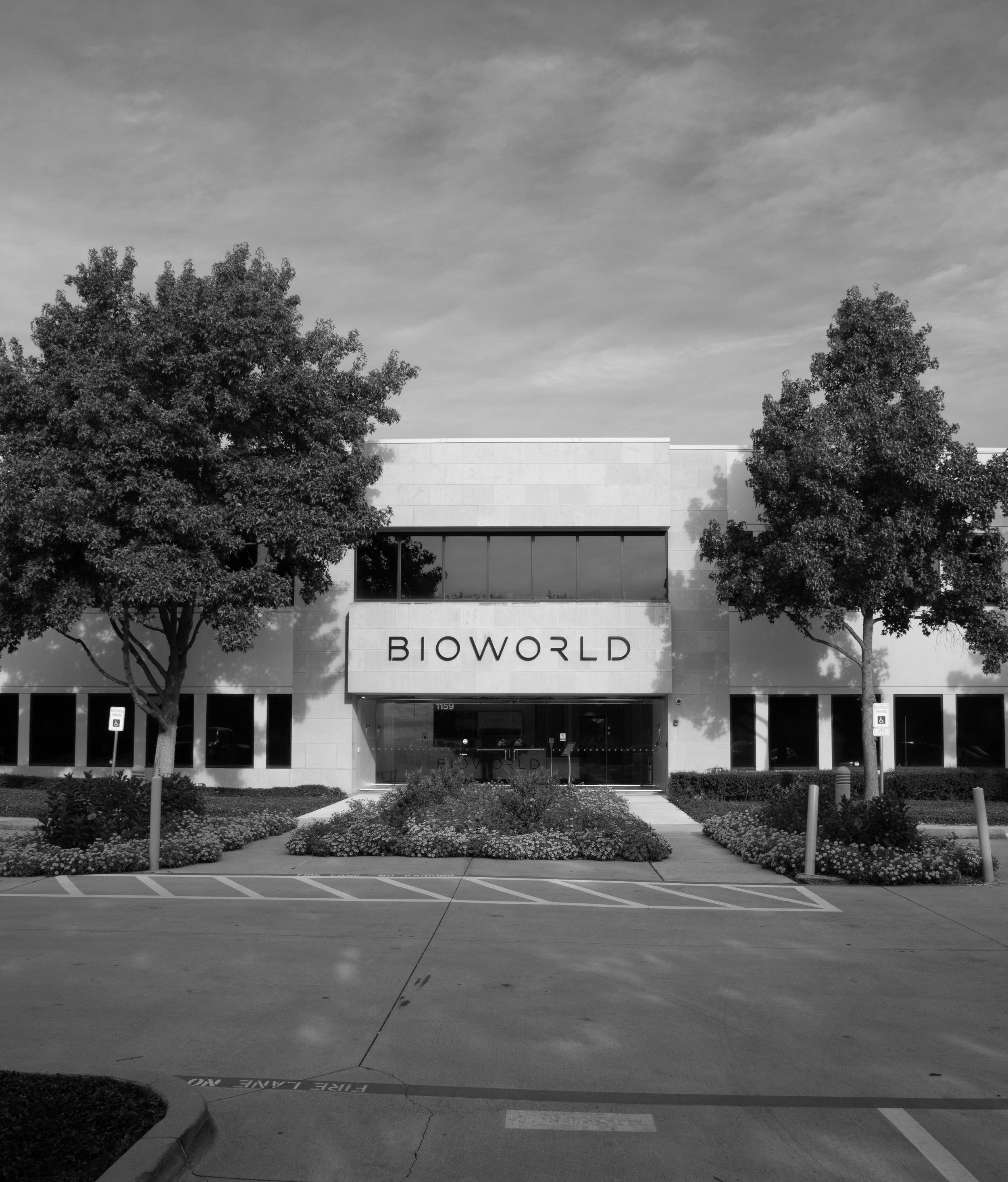 Bioworld Merchandising