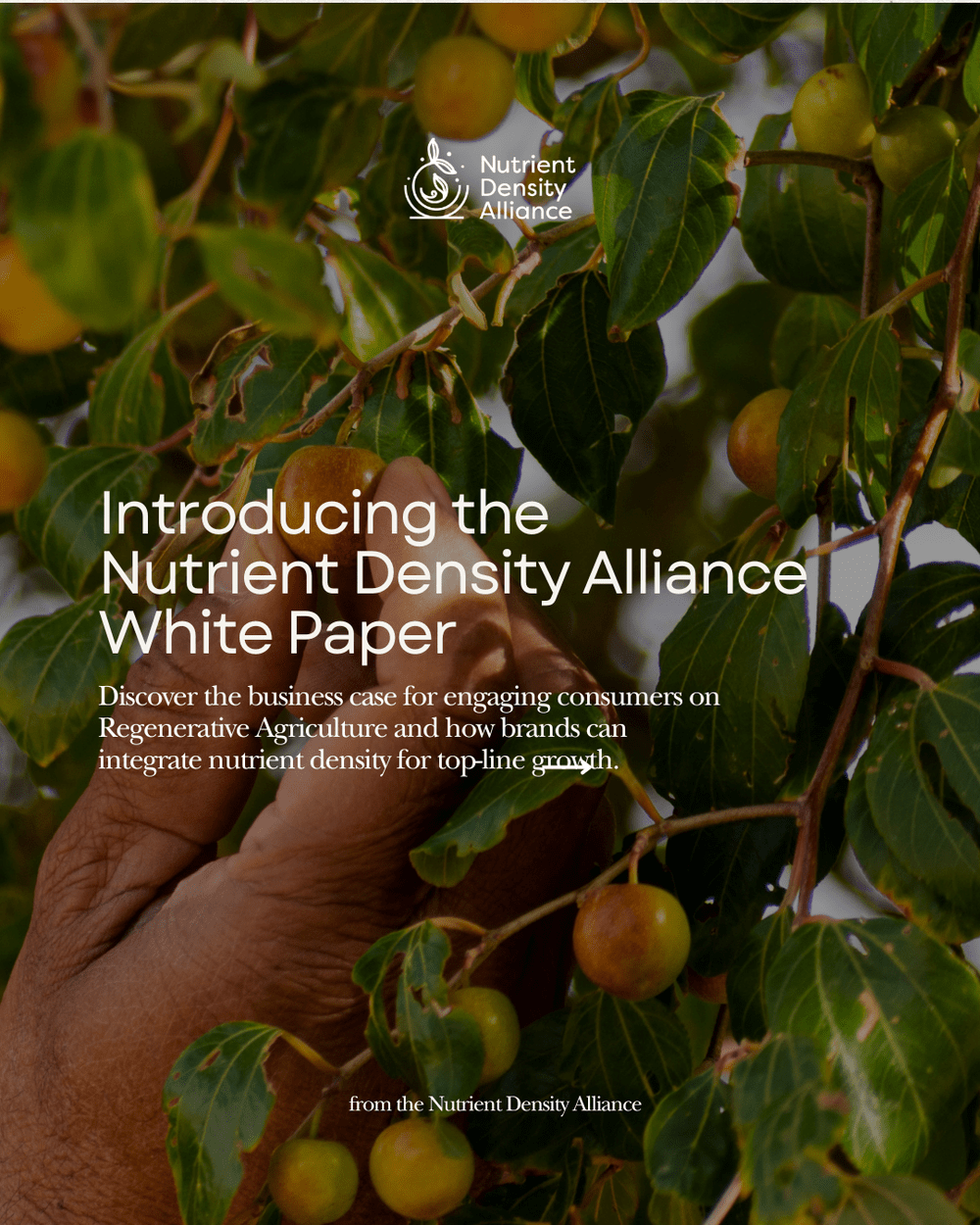 White Paper: Engaging Consumers on Regenerative Ag — Nutrient Density ...