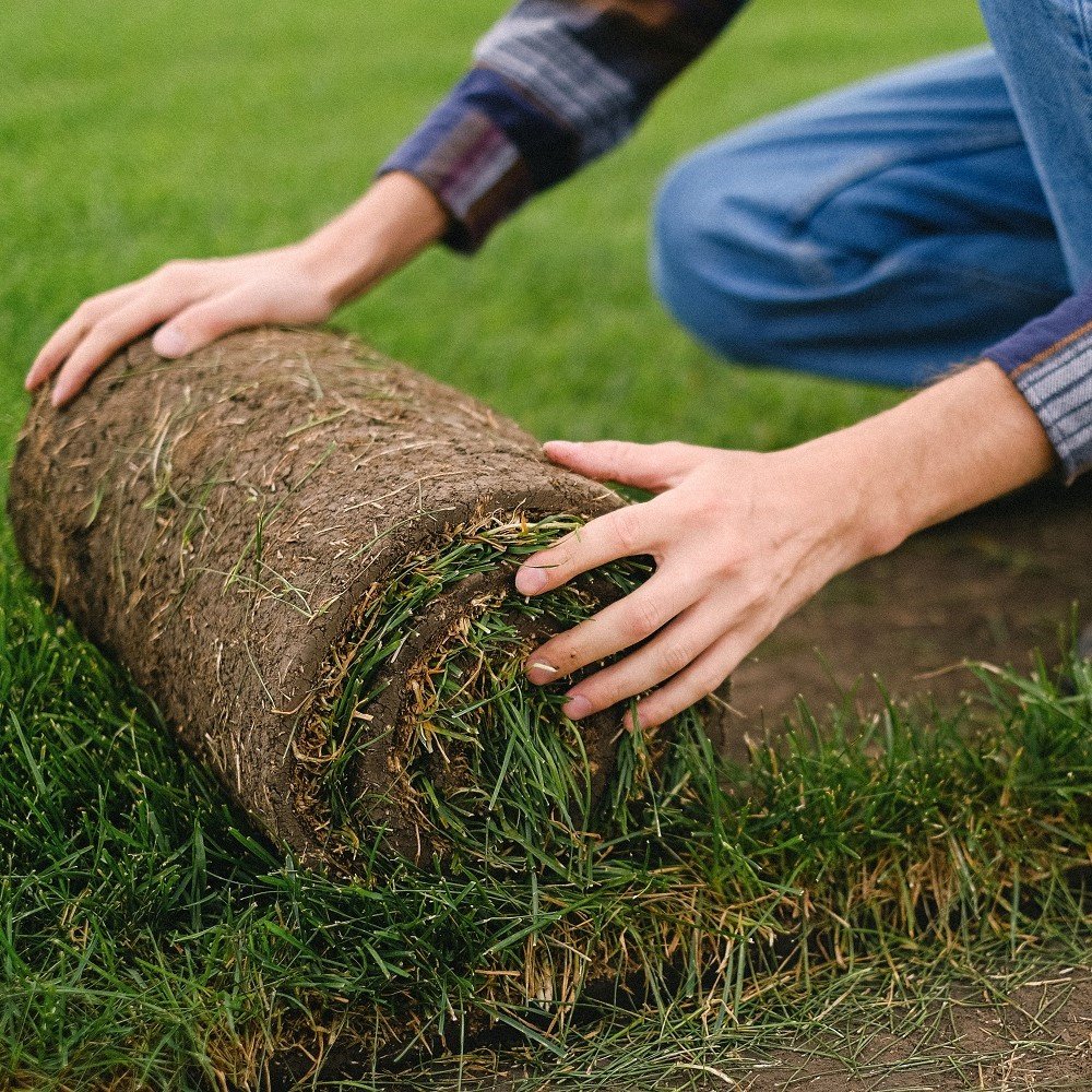 Celtic Turf Cornwall - Topsoil and Turf Supplier