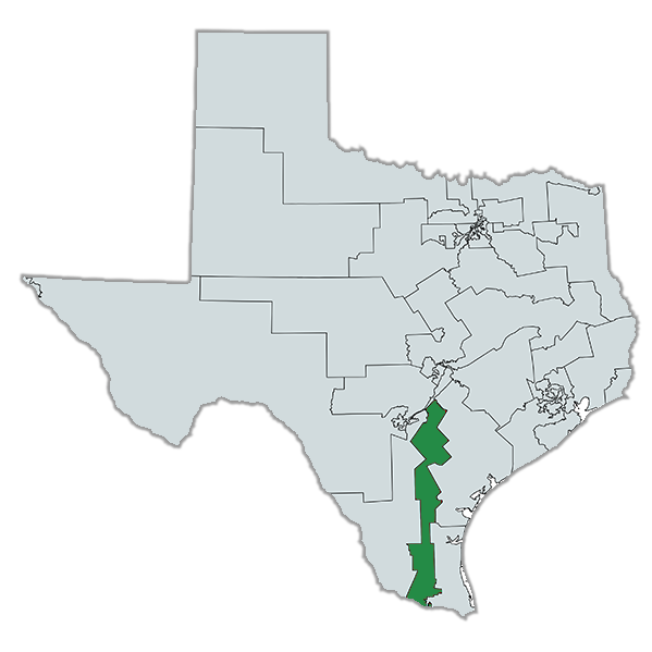 People's House - Elect Democrats to Congress