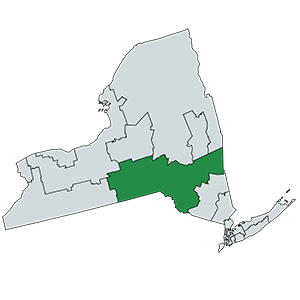 People's House - Elect Democrats to Congress