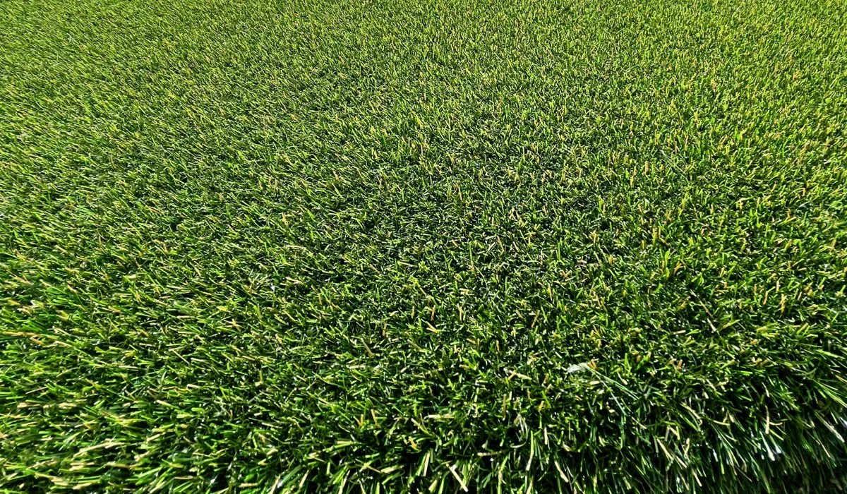 ForeverLawn Texas | Texas Artificial Grass