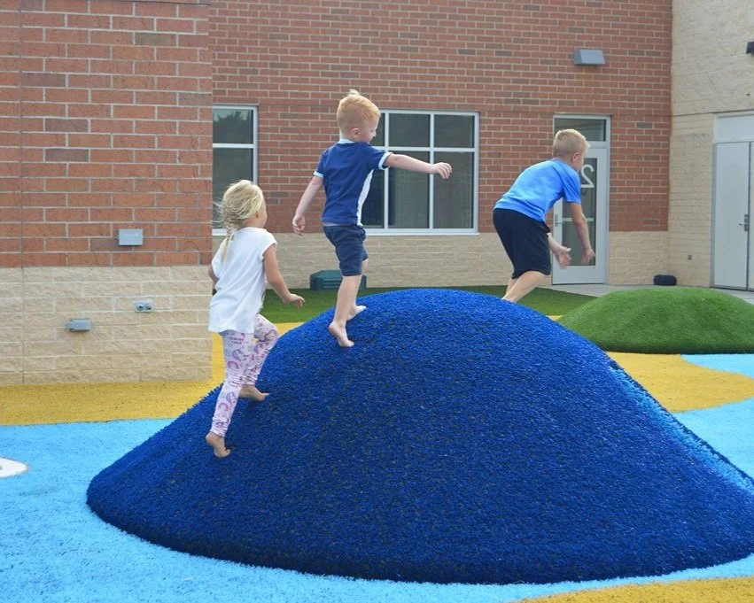 PlayMounds™ | Playground Grass — ForeverLawn Texas