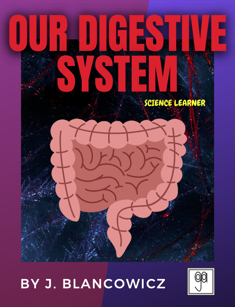 Digestive System For Kids