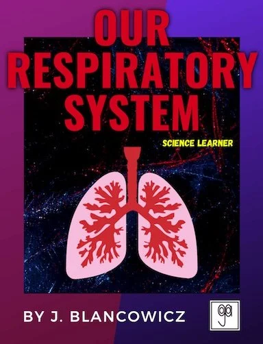 How do our respiratory and circulatory system work together? | Ooga Press