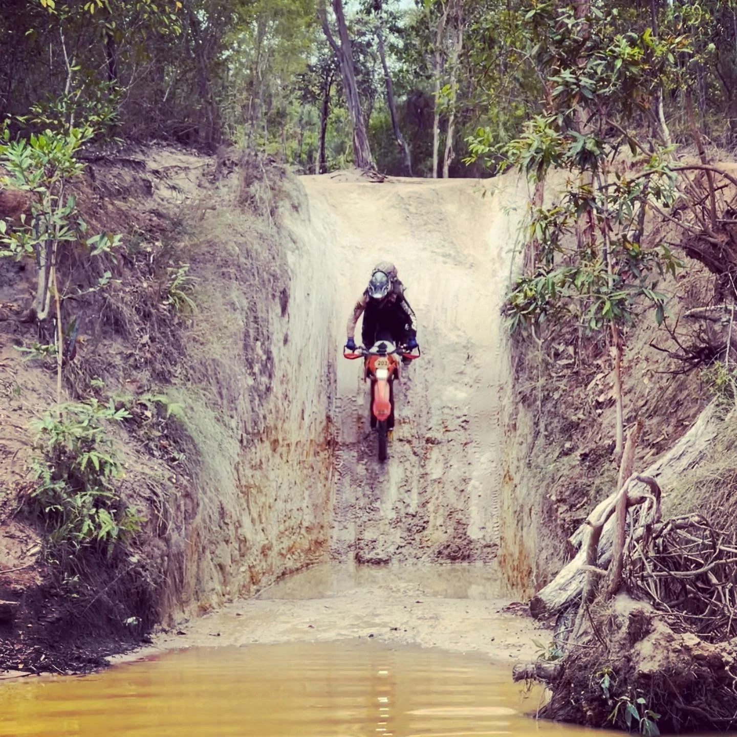 Cape York Motorcycle Tour